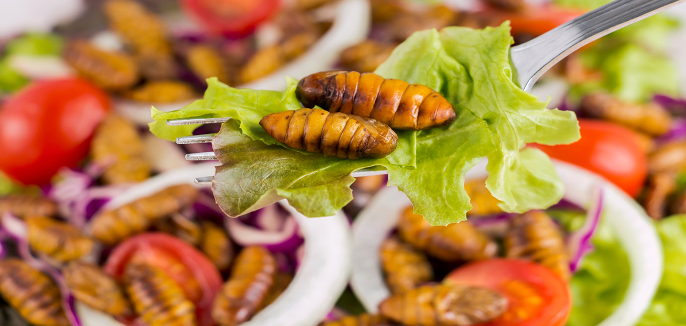 A new look at insects as food - Happiest Health