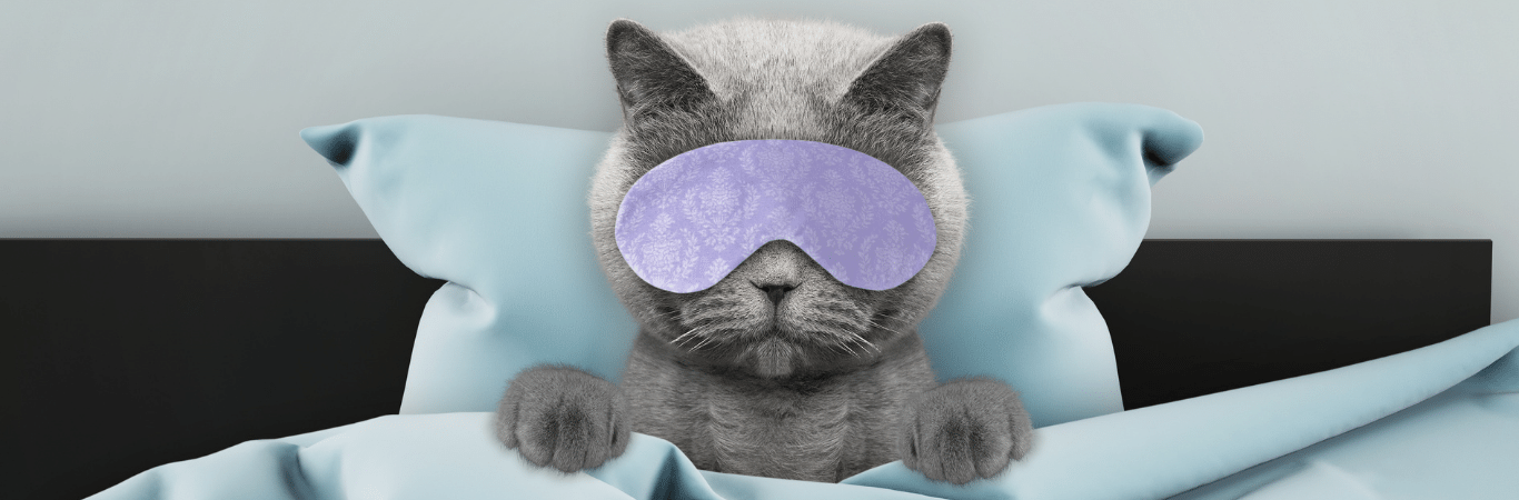 6 Best Tips for Falling Asleep - Know Them in Detail | Happiest Health