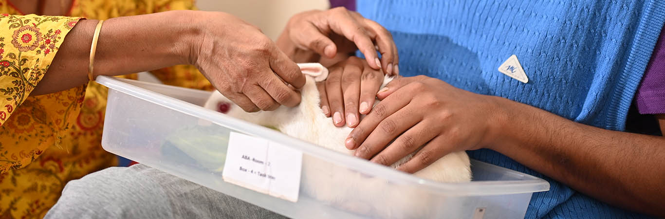‘My autistic son’s unique bond with rabbits’ - Happiest Health
