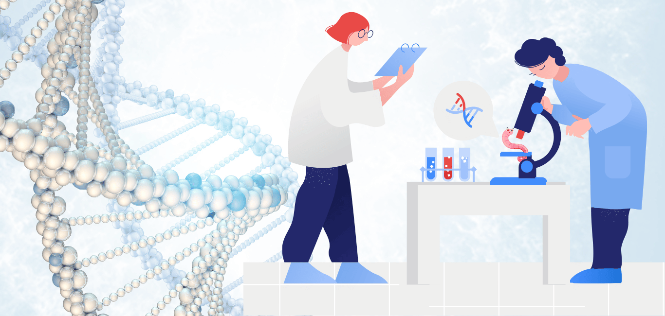 Ageing with elegans: identifying possible ageing genes | Happiest Health