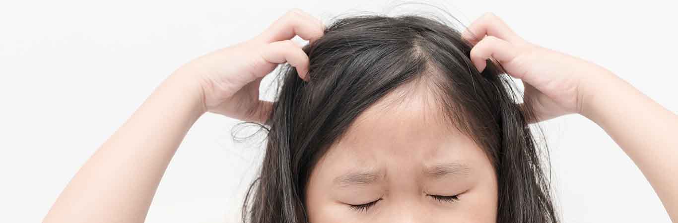 Head lice in children Happiest Health - Happiest Health